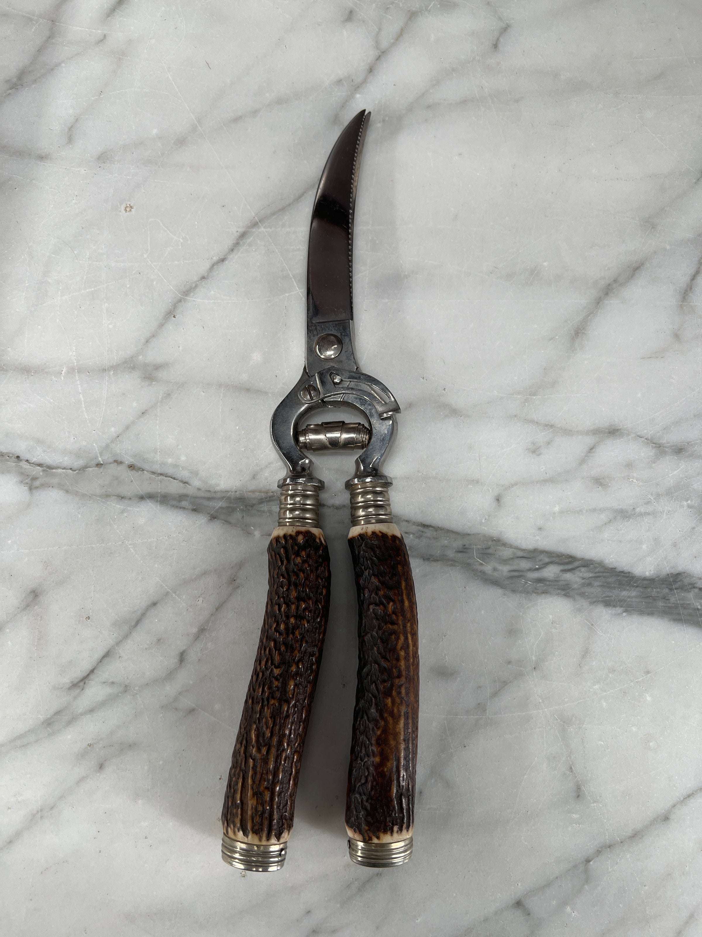 Poultry Shears Stainless Steel & Stag Solingen 1950s-60s – Bernal Cutlery